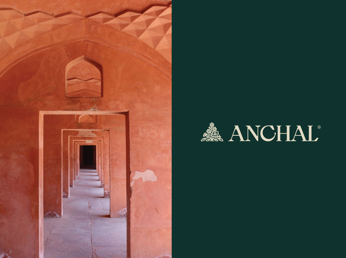 Behind our Rebrand – Anchal Project